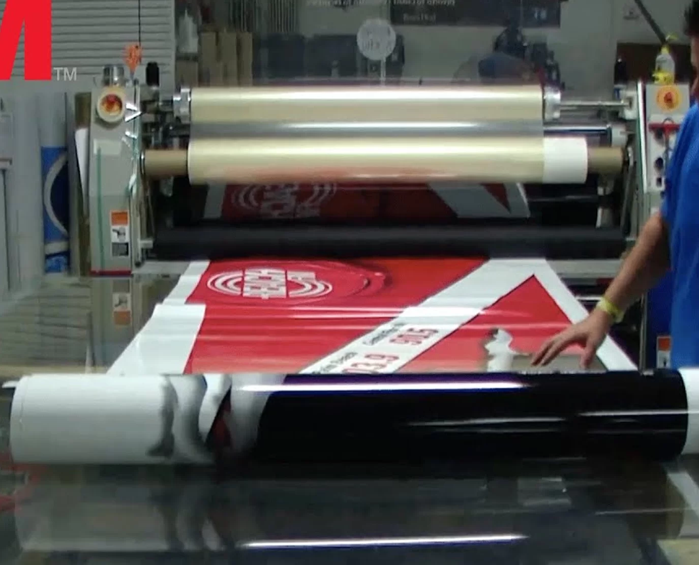 CAD Cut Vinyl Lettering And Decals Printing NJ - Gogi Signs